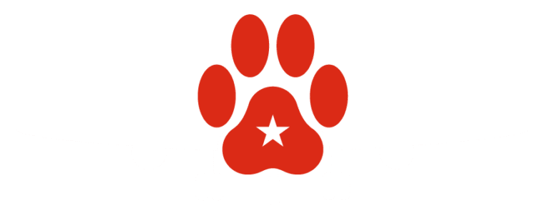 Pet Shipping UK | Pet Relocation UK | Airpets International